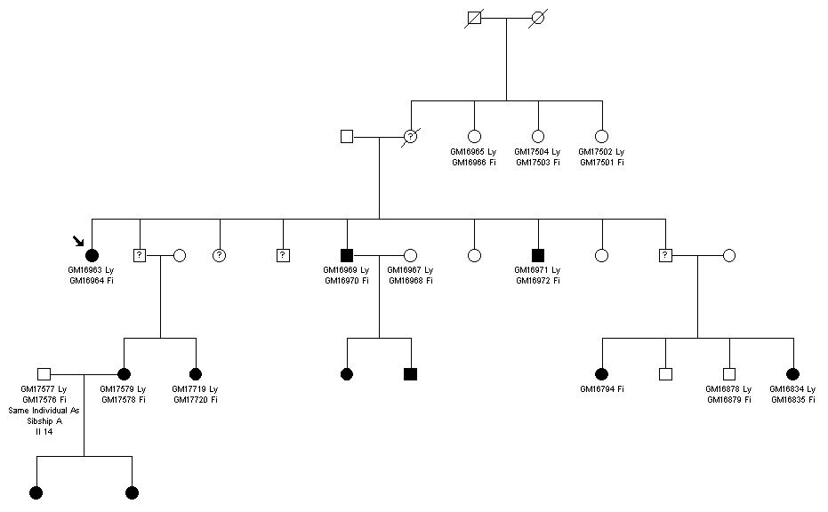 NIGMS Collection - Osteogenesis Imperfecta in the Old Order Amish ...